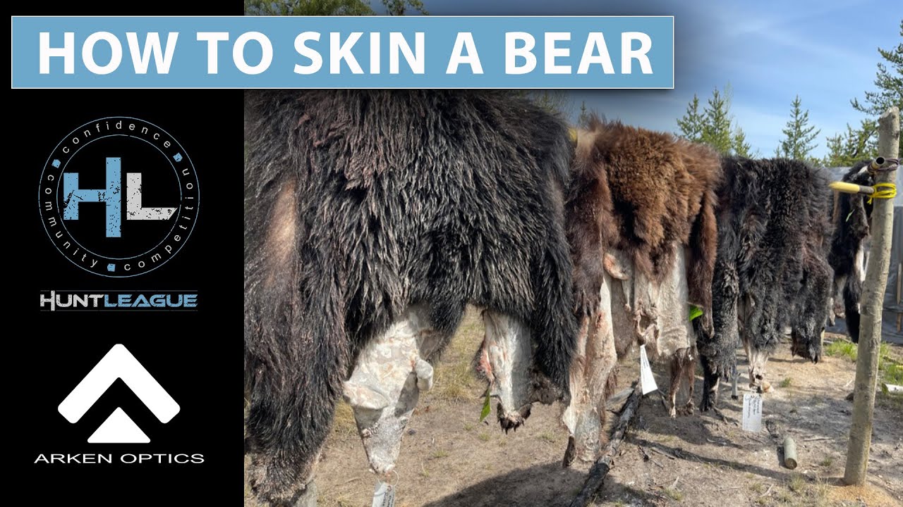 How to Skin a Bear: Paws, Pads, and Claws with Cody the Bear Skinner ...