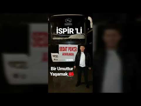 DADAŞ MUSA YILMAZ REISIMLER