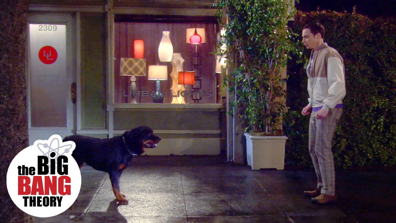 Sheldon Gets Attacked by a Dog | The Big Bang Theory - YouTube