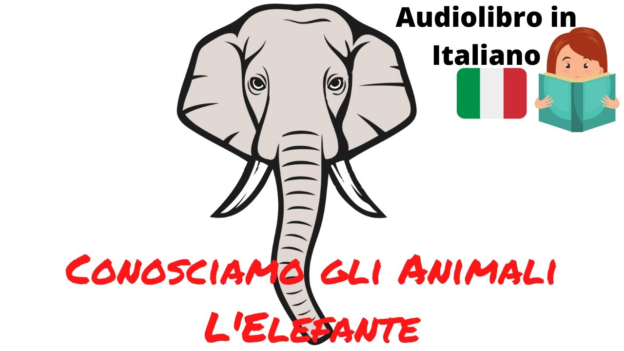L'Elefante 🐘📚 - gli Animali - storie favole racconti educativi ...