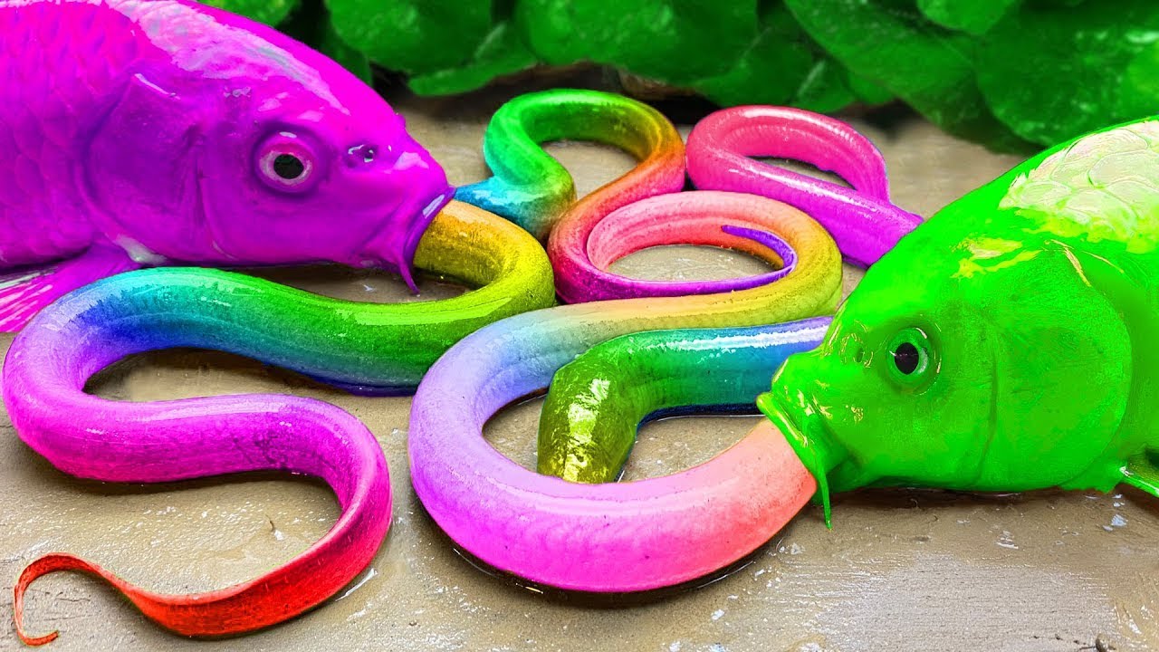 Colorful surprise eggs, lobster, snake, cichlid, betta fish, turtle ...