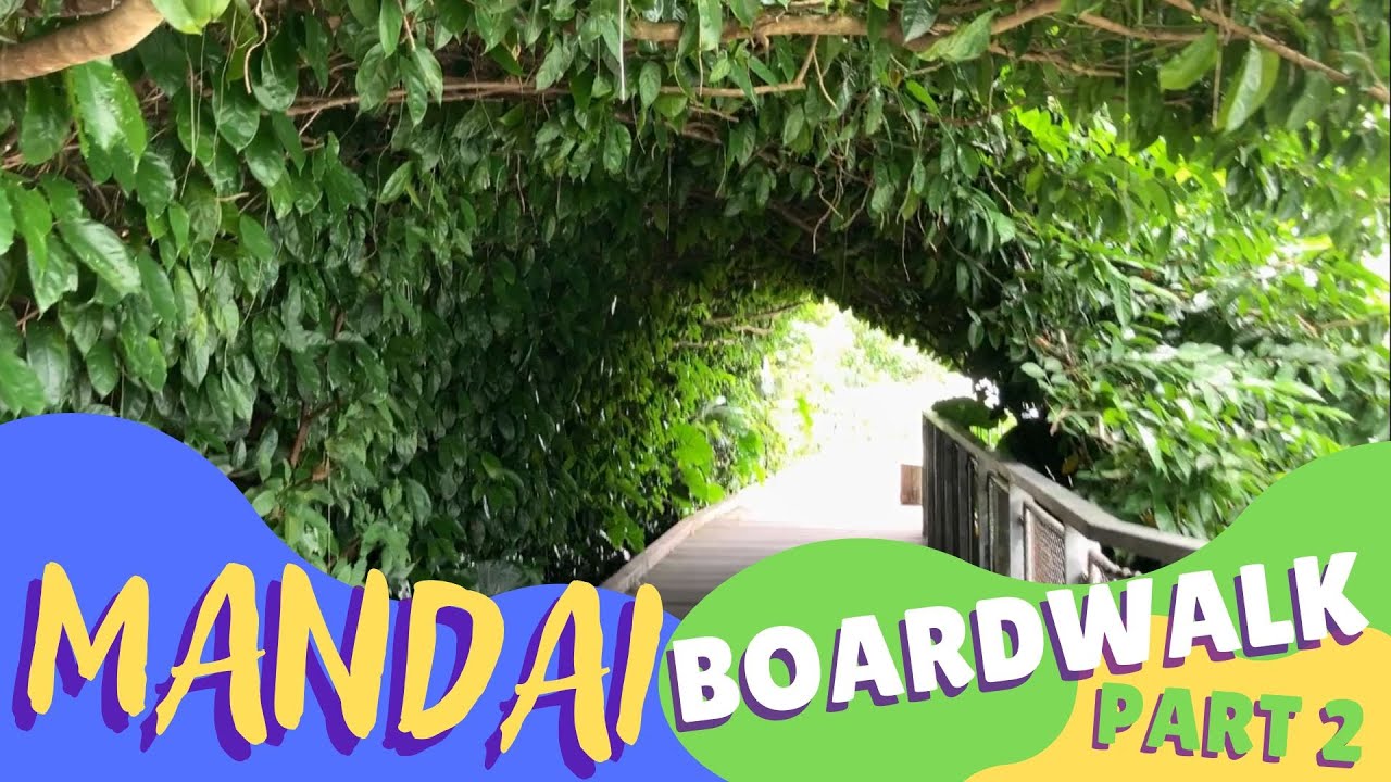 Mandai Boardwalk Part 2! - YouTube