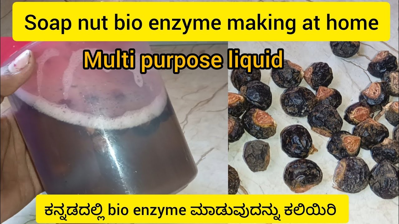 Soap nut Bio enzyme making at home. - YouTube