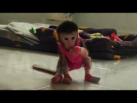 Baby Chilo wake up drinking milk - YouTube