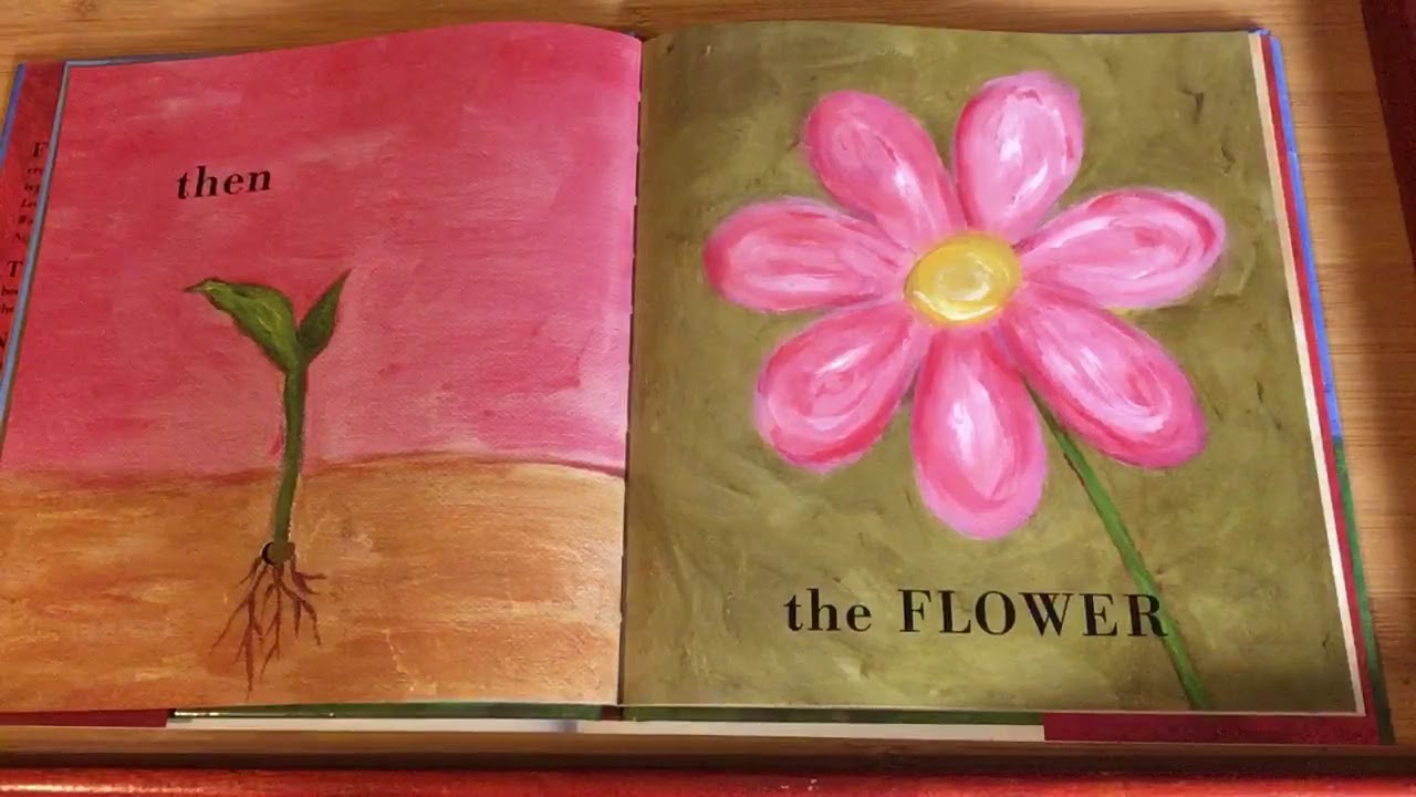 Teacher Dee reads First The Egg by Laura Vaccaro Seeger - YouTube