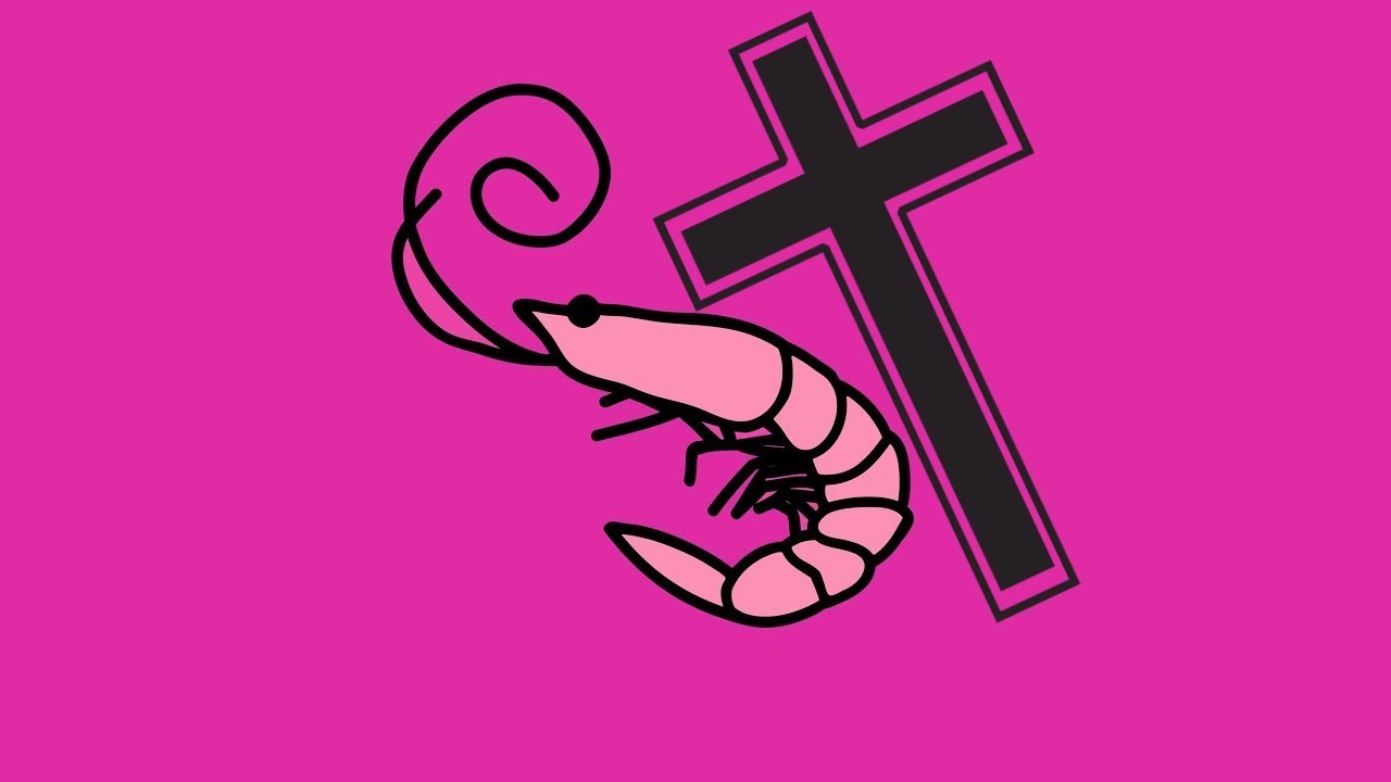 Christian Flamingo - YouTube