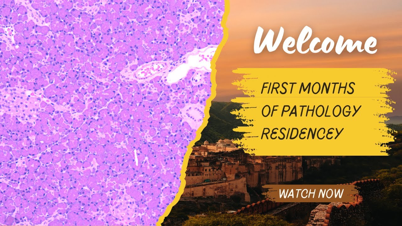 Welcome to Pathology - What to do in the first few months !! - YouTube