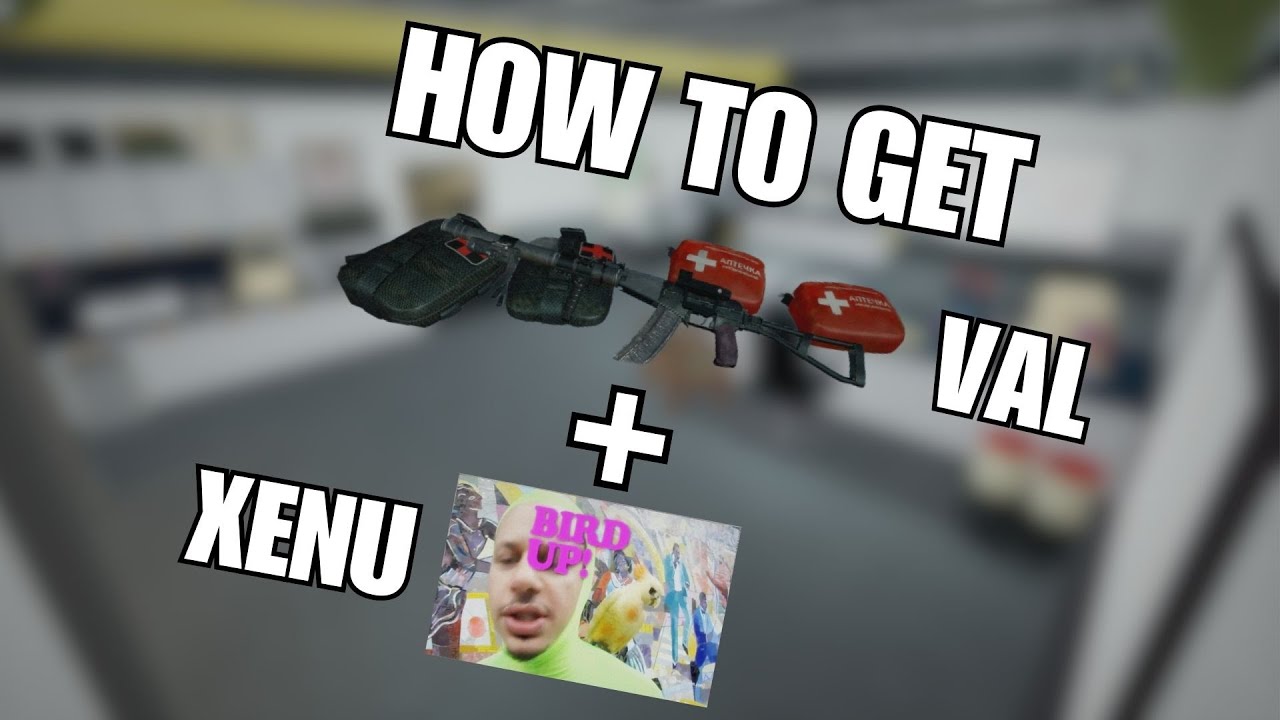 How to get VAL + Xenu ZARP FS - YouTube