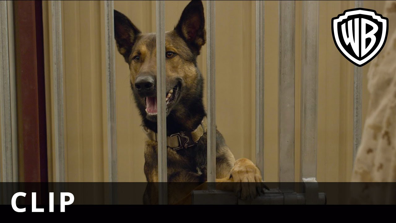 Max – 'We'll be taking him home' – Official Warner Bros. UK - YouTube