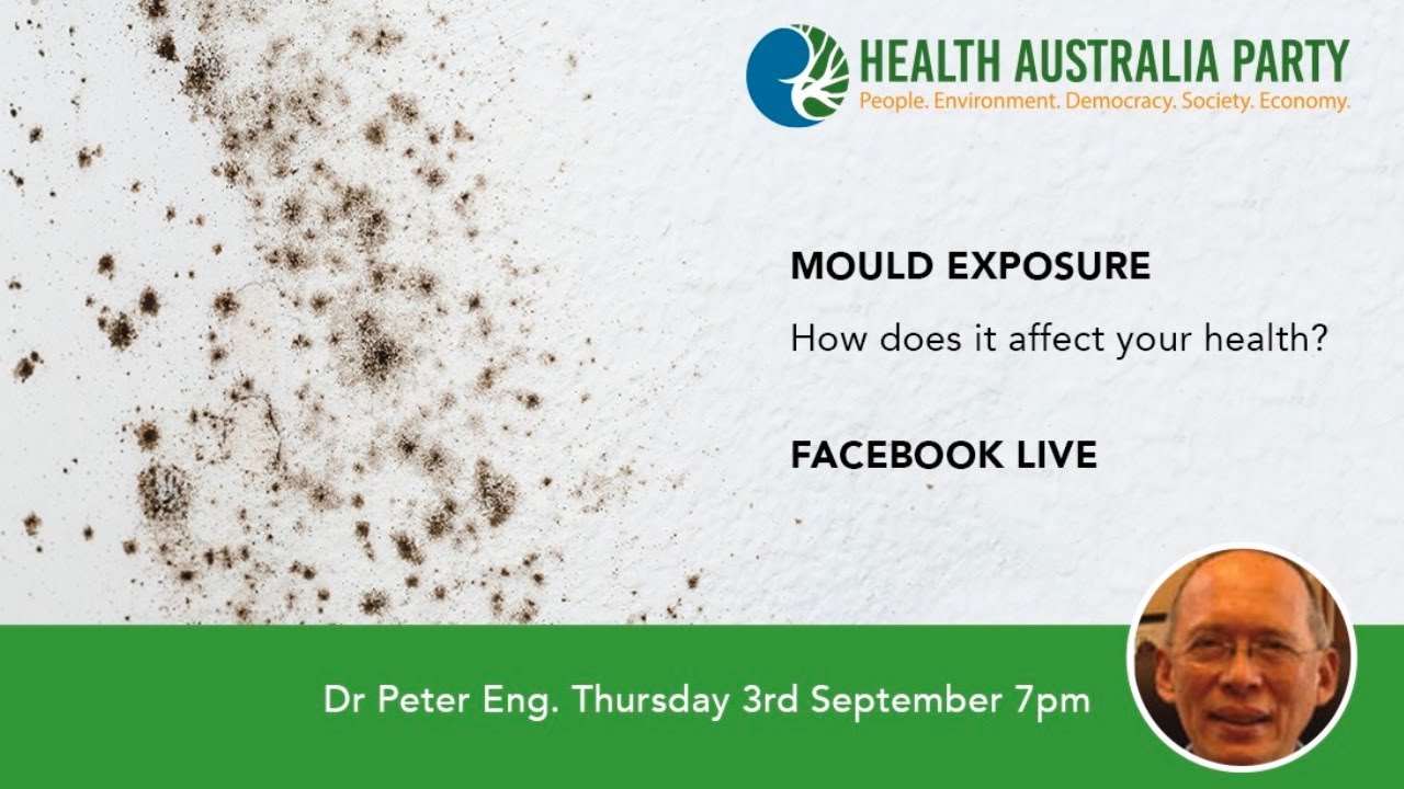 Dr Peter Eng discusses the hidden dangers of mould exposure with Molly ...