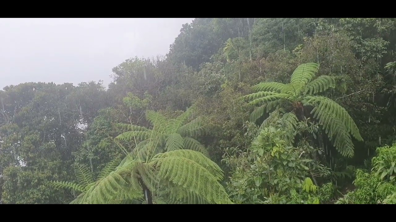 Ketika lembah gunung Willis Besuki Kediri, di bahasi hujan..menambah ...