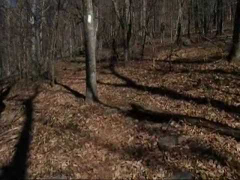 AT Beauty Spot to Unaka Mountain - YouTube