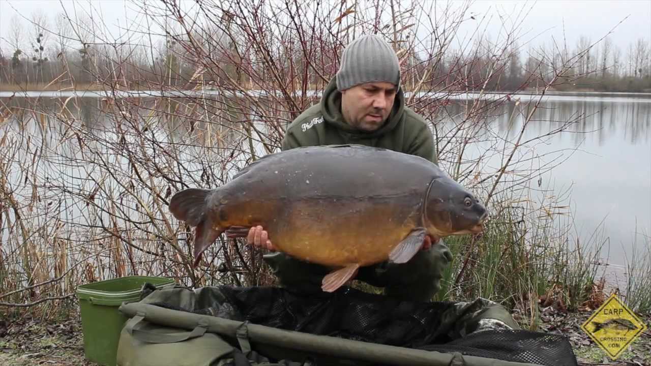 CARP FISHING IN WINTER AT ABBEY LAKES - YouTube