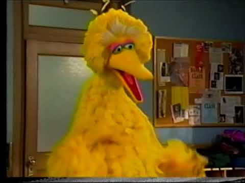 Sesame Street - Scenes from Episode 3543 - YouTube