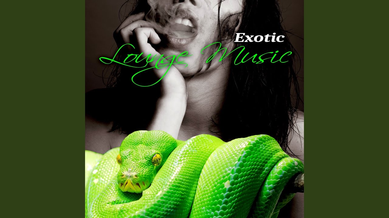 Exotic Lounge Music - YouTube