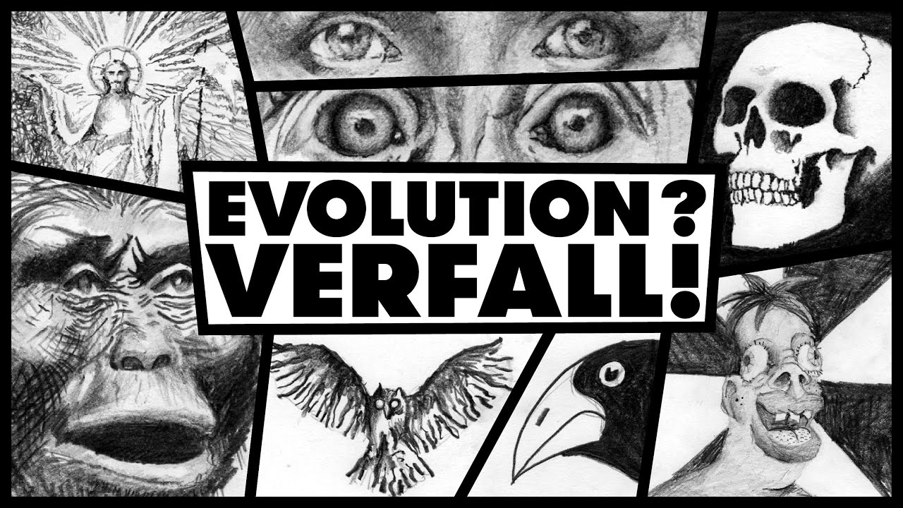 Nietzsche, der Anti-Darwin? - YouTube