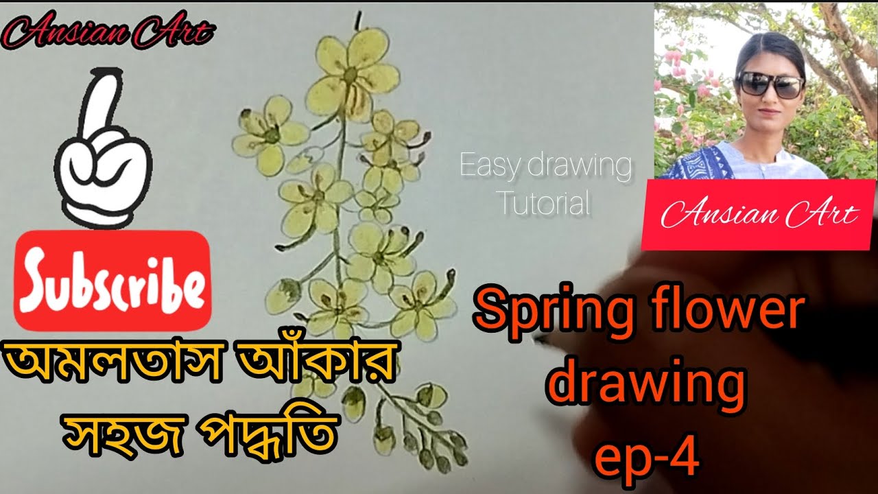 অমলতাসফুল আঁকার সহজ পদ্ধতি ||Spring flower drawing Ep-4@ansianart ||How ...