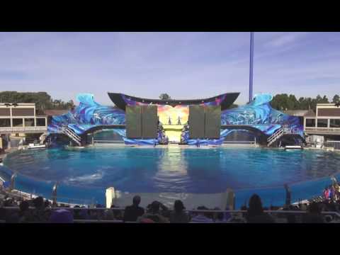 The Complete 2016  One Ocean  Shamu Show at SeaWorld clip1