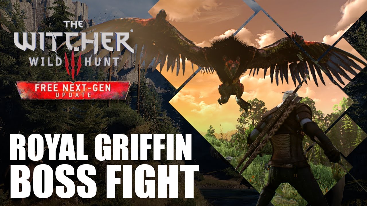 The Witcher 3: Wild Hunt NEXT-GEN Royal Griffin Boss Fight (PS5) - YouTube