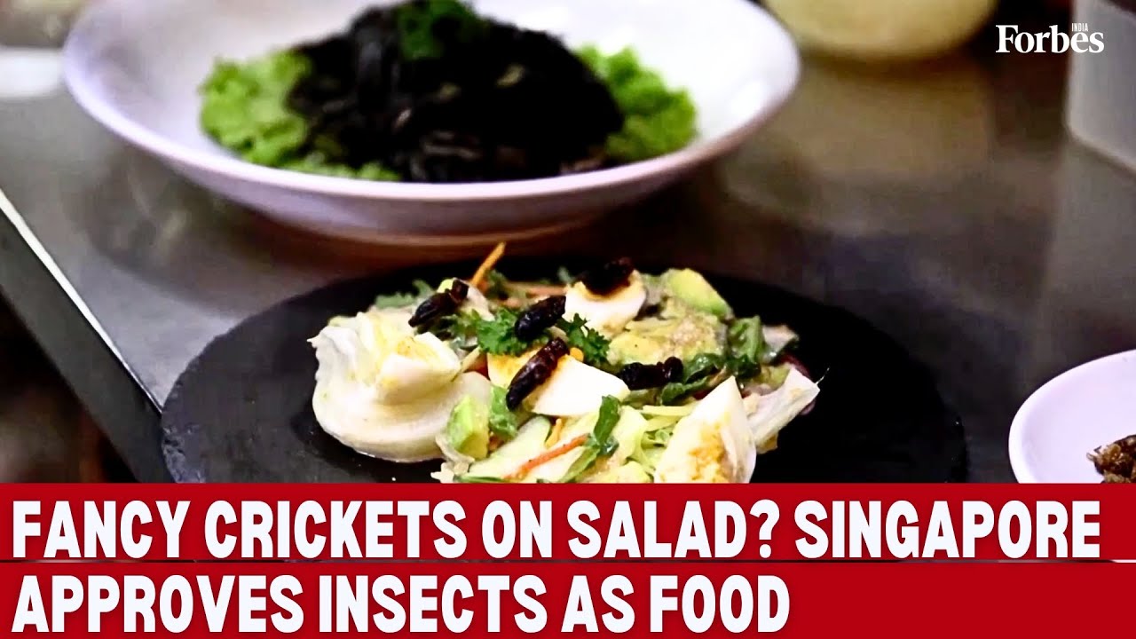 Fancy crickets on salad? Singapore approves insects as food - YouTube
