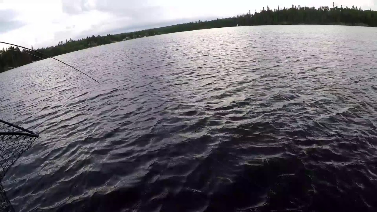 28-inch pickerel at Lake Malachi - YouTube