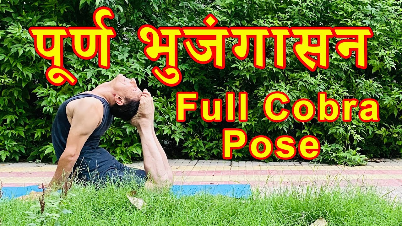 पूर्ण भुजंगासन / Poorna Bhujangasana /Full Cobra Pose / पूर्ण भुजंगासन ...