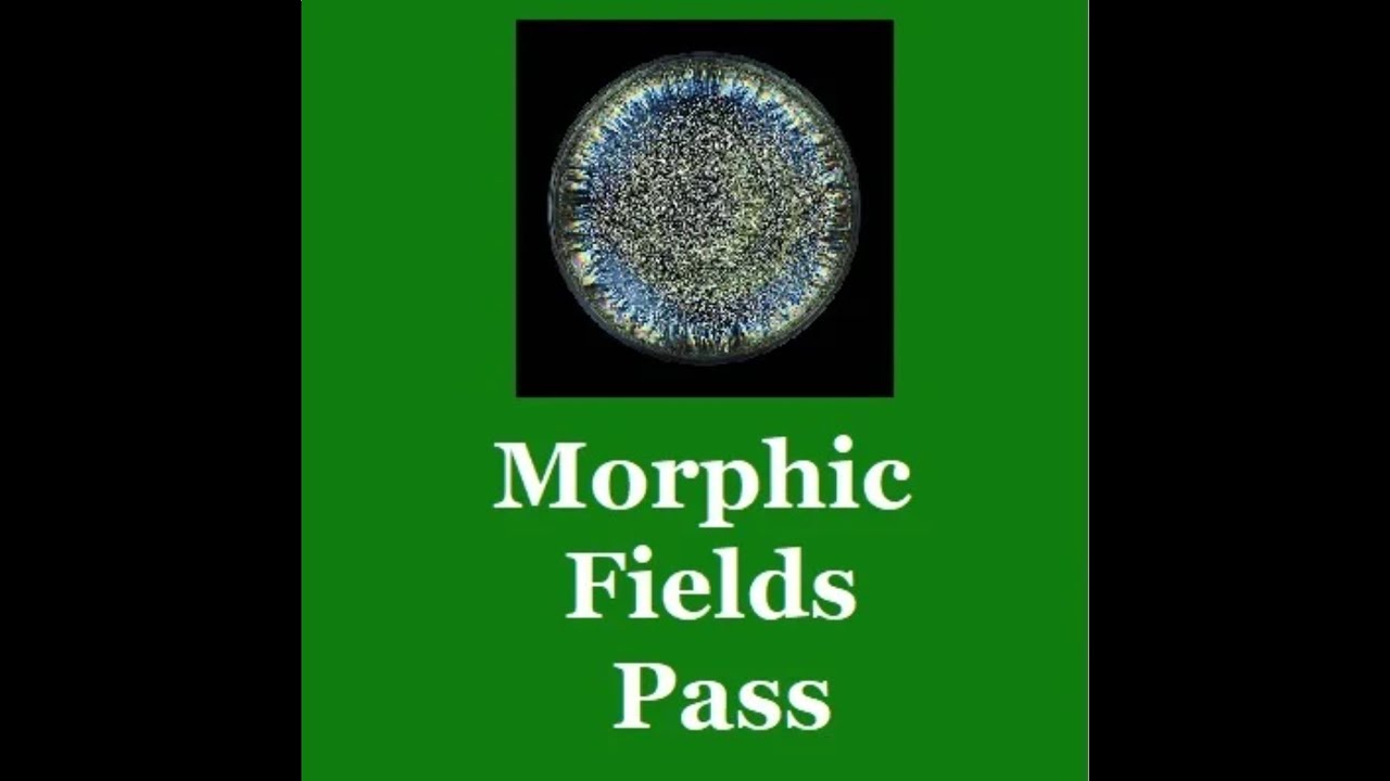 How to sign up for the Morphic Fields Pass - YouTube