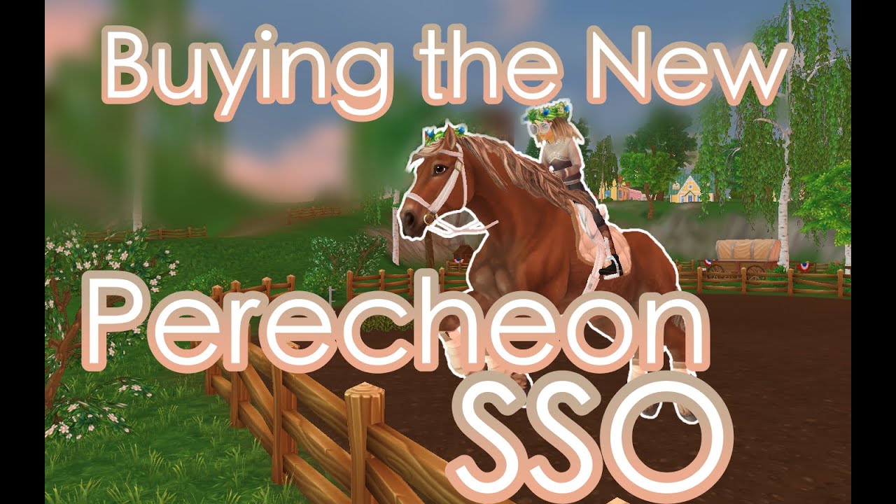 Buying the New Percheron SSO - YouTube