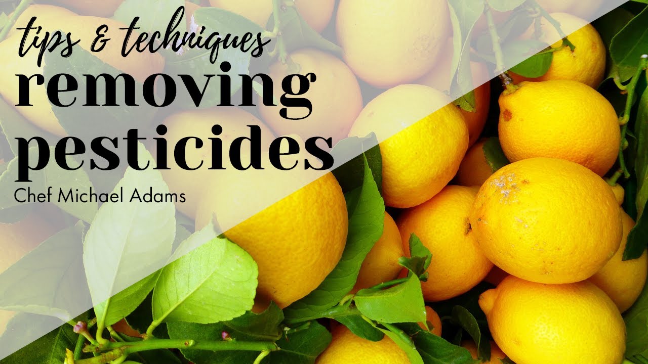Removing Pesticides from Lemons | Chef Michael Adams | Tips ...