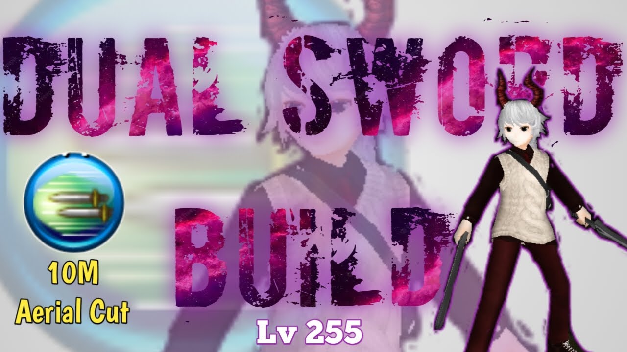 MY PERSONAL BUILD DUAL SWORD LV255 | TORAM ONLINE - YouTube