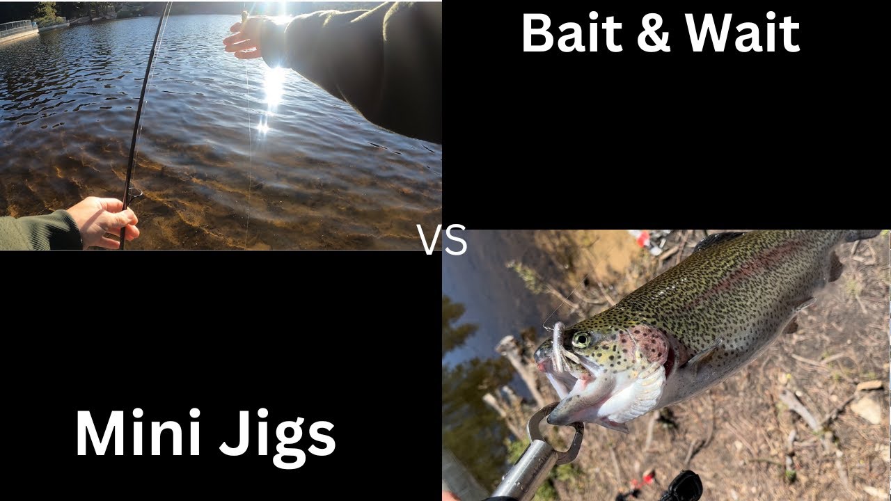 GVL: Bait n' Wait vs Mini Jigs - YouTube