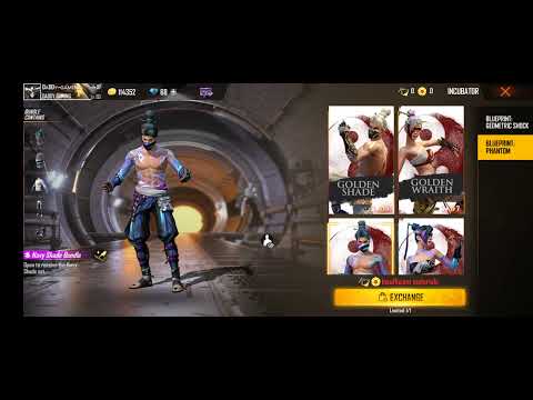 NEW EVELIN STONE BANSAL NOOB KILLER FF NEW VIDEO