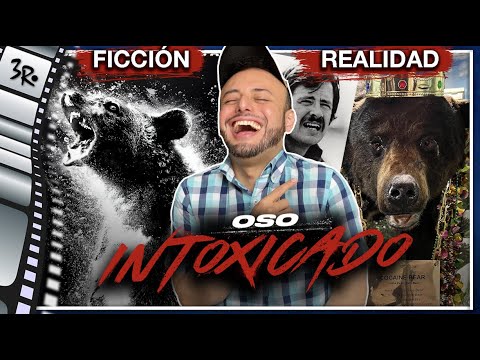 Oso Intoxicado - Historia Real VS Película (Critica Review) Oso Vicioso ...