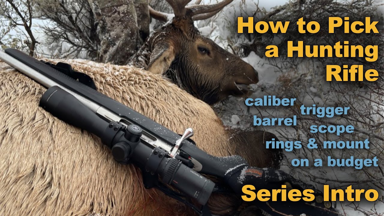 Building the Perfect Hunting Rifle...On a Budget. What You Need to Know ...