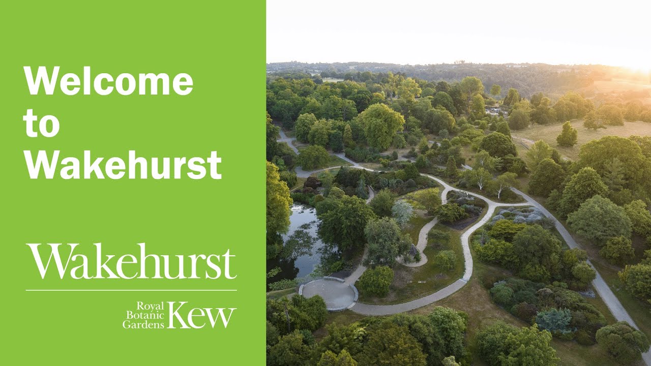 Welcome to Wakehurst - YouTube
