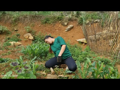 Pregnant Women have Severe Abdominal Pain. giving birth in difficult circumstances lack of facility