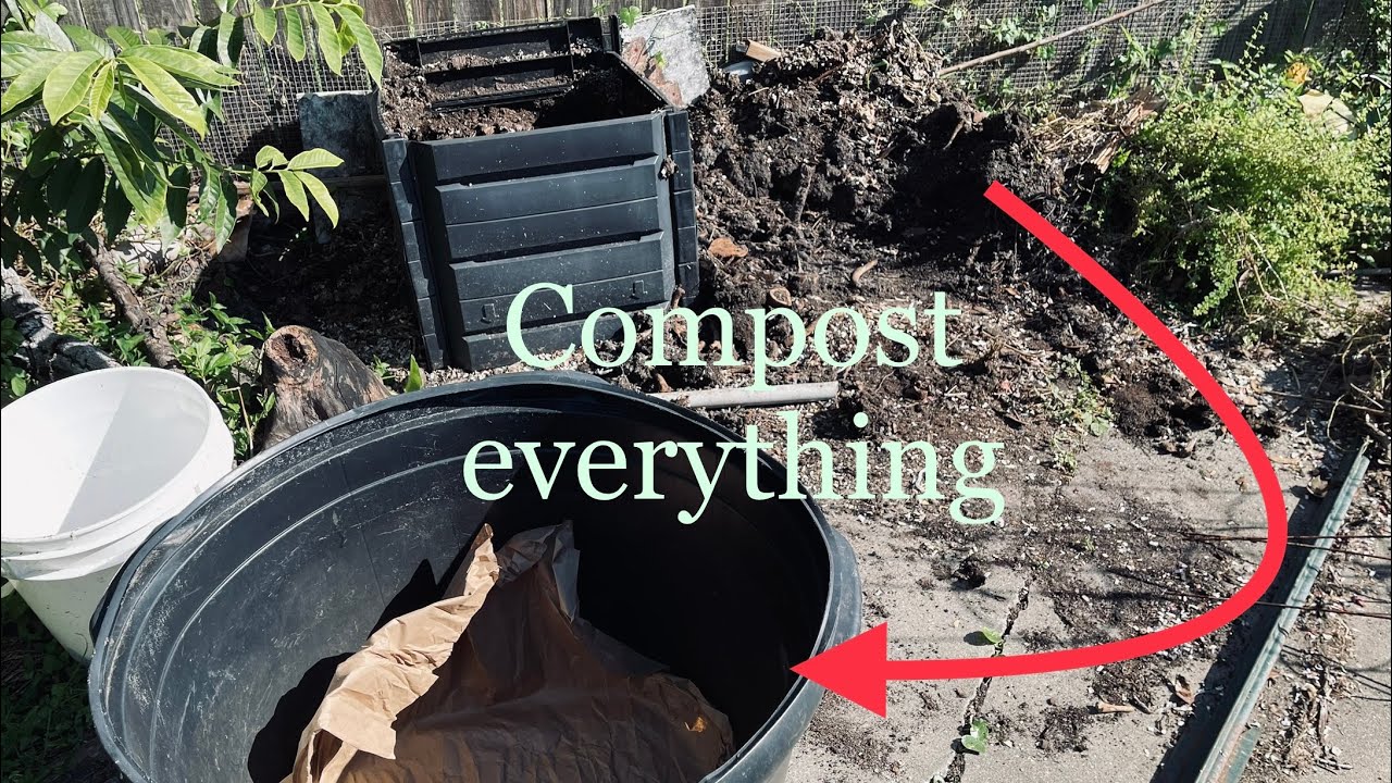 Thanks to David the Good, I compost everything.👩‍🌾👍🏻👏🏻#gardening # ...