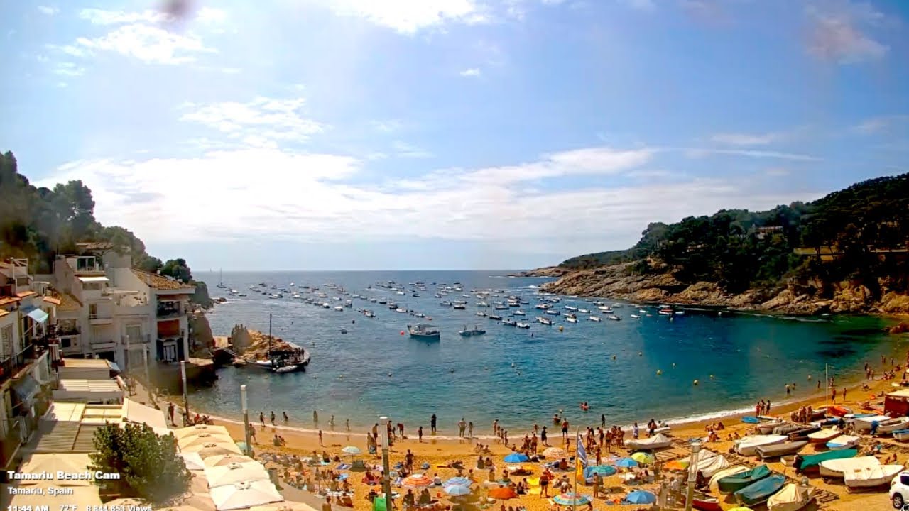 Live from Paradise: Soak Up the Sun on Tamariu Beach in 4K! | 4k Webcam ...
