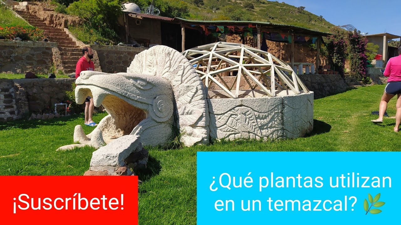 Temazcal, plantas y naturaleza | El jardín de mis amores - YouTube