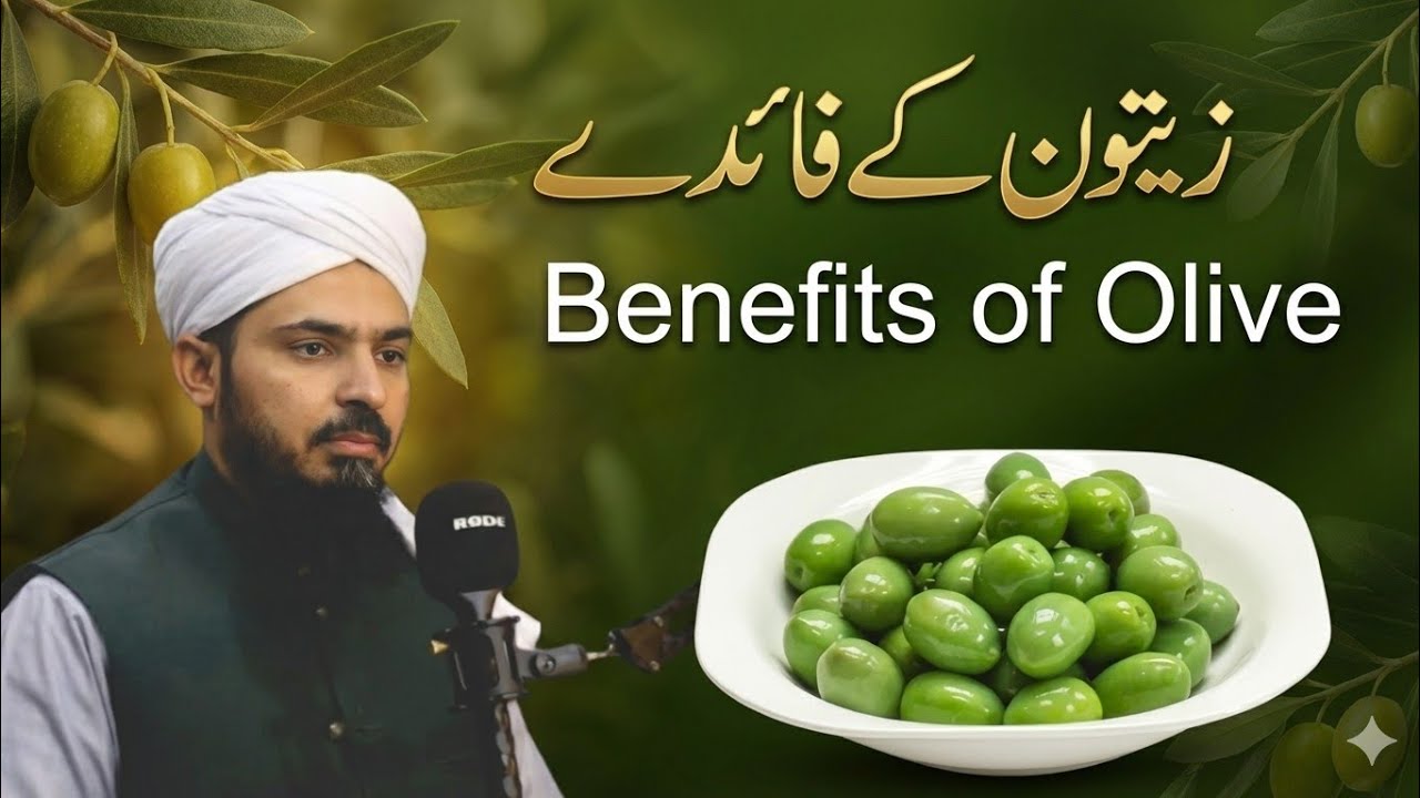 Zaitoon: Quran o Hadith Ka Mubarak Darakht | Olive Benefits in Islam ...