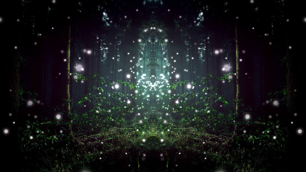 ENCHANTED FOREST BACKGROUND MUSIC - Copyright free - YouTube