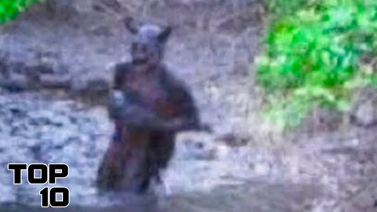 Top 10 Terrifying Things People Managed To Capture On Their Phones ...