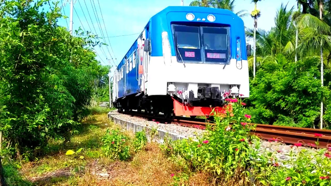 SPOT KEREN Di ACEH UTARA Kereta Api Cut Meutia - YouTube