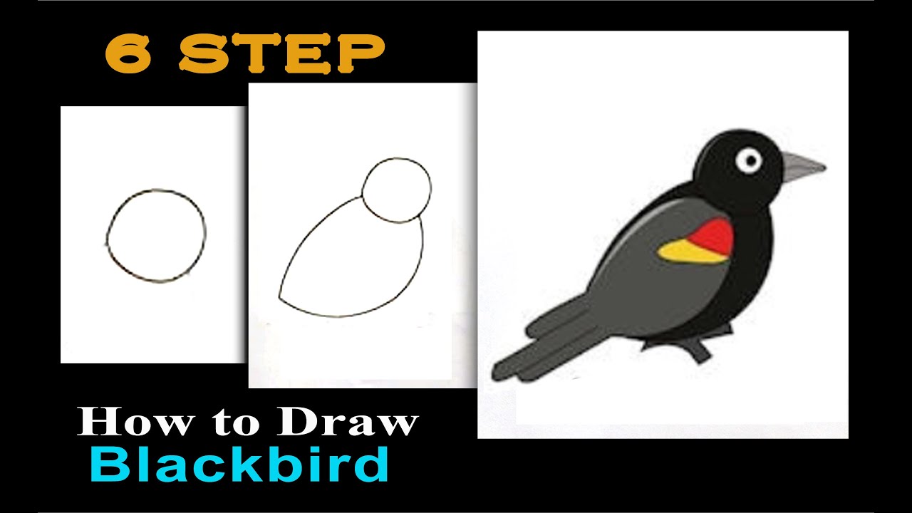 How to draw a blackbird - YouTube