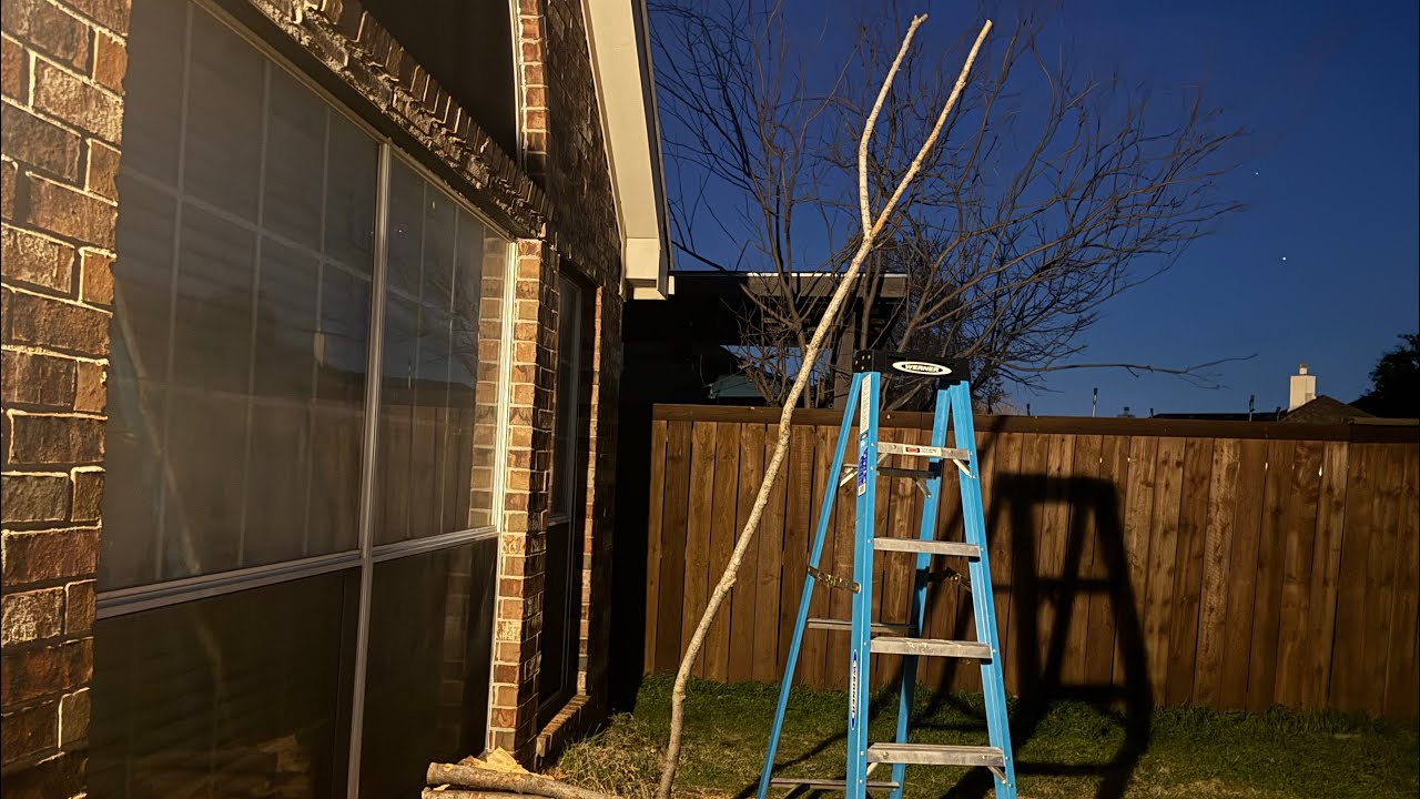 I Put My Fake Dead Tree in My Dead Tree Stump ! - YouTube