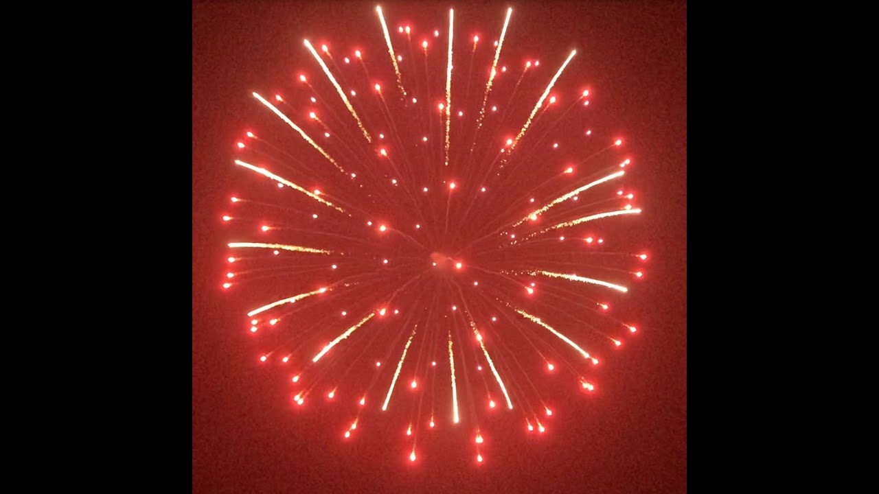 5" SHL0501 HALF RED HALF PURPLE PEONY W SILVER WAVE RING - YouTube