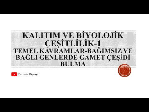 10.Sınıf Kalıtım ve Biyolojik Çeşitlilik-1 Temel kavramlar Bağımsız ve Bağlı Genlerde Gamet Çeşidi