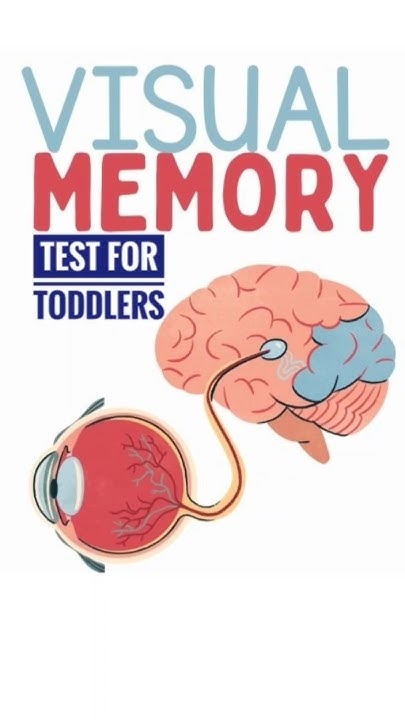 VISUAL MEMORY TEST FOR 2-3 YEARS TODDLERS. #memorygame #memory #game ...