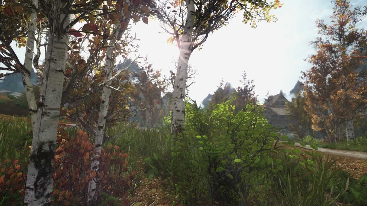 Skyrim: Insane Real-life Graphics Modification [1080p] - YouTube