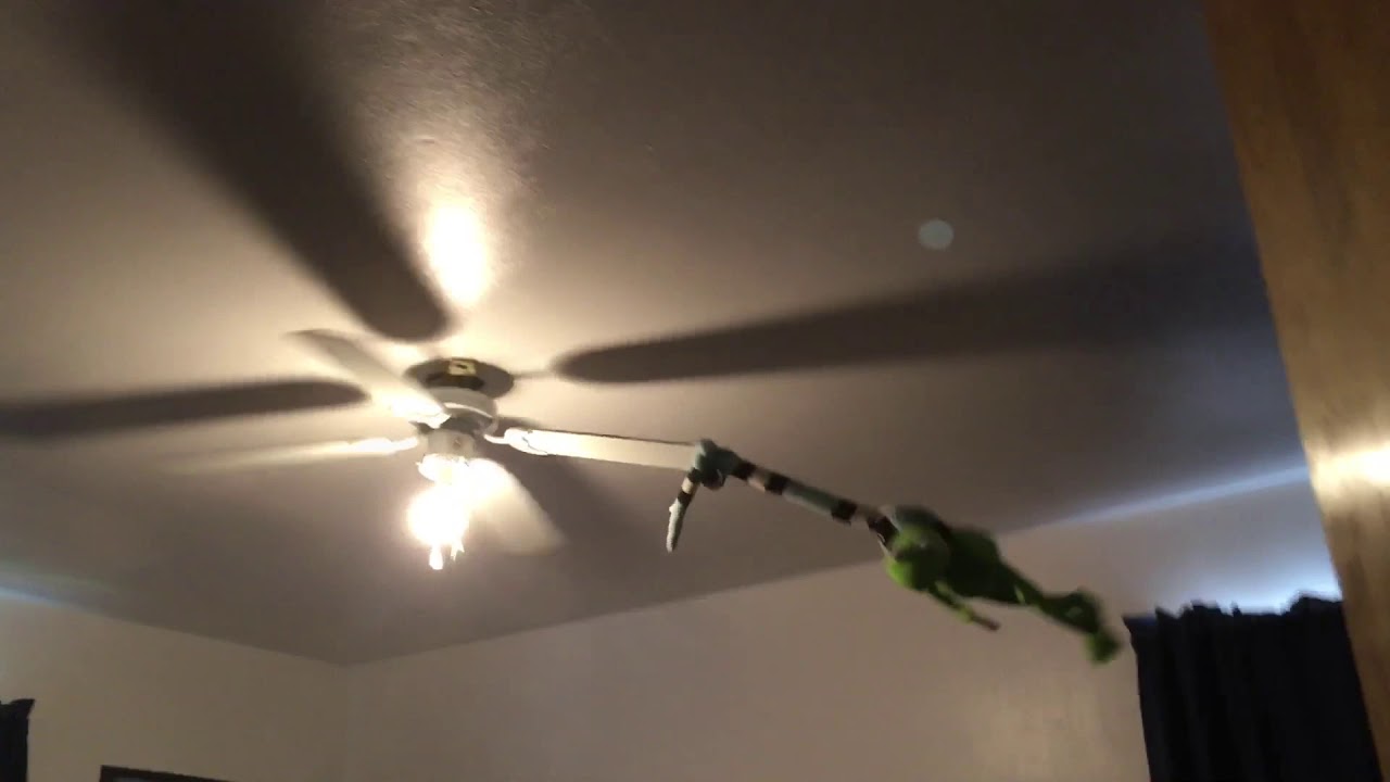 Dead Kermit - YouTube